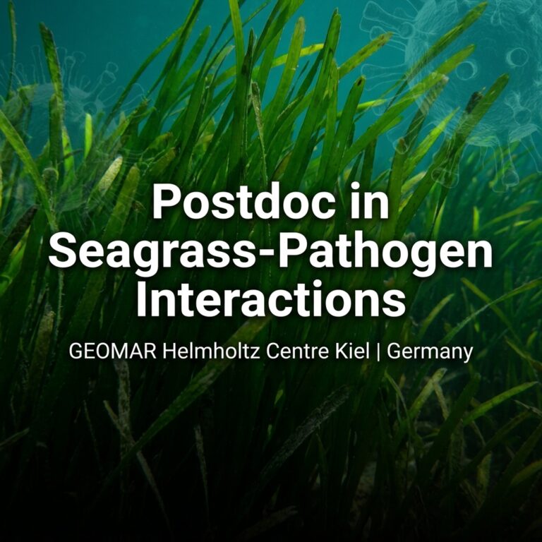 Postdoctoral Fellowship in Seagrass-Pathogen Interactions at GEOMAR ...