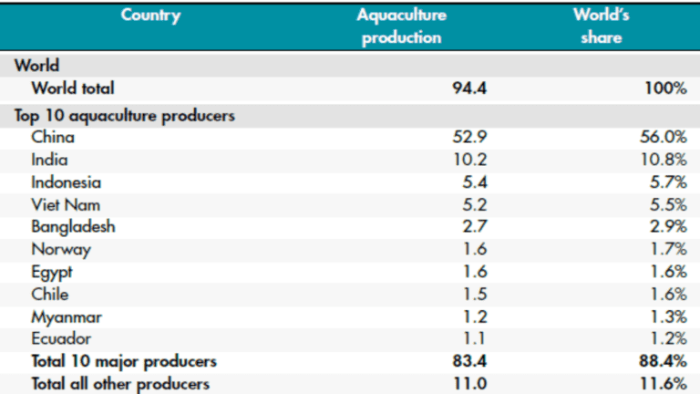 Top 10 Fish Producing Countries in 2025: Global Production & FAO ...